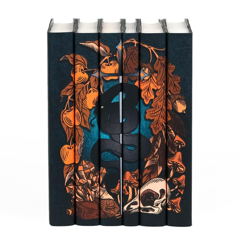 Holly Black Novels of Elfhame - Book Set