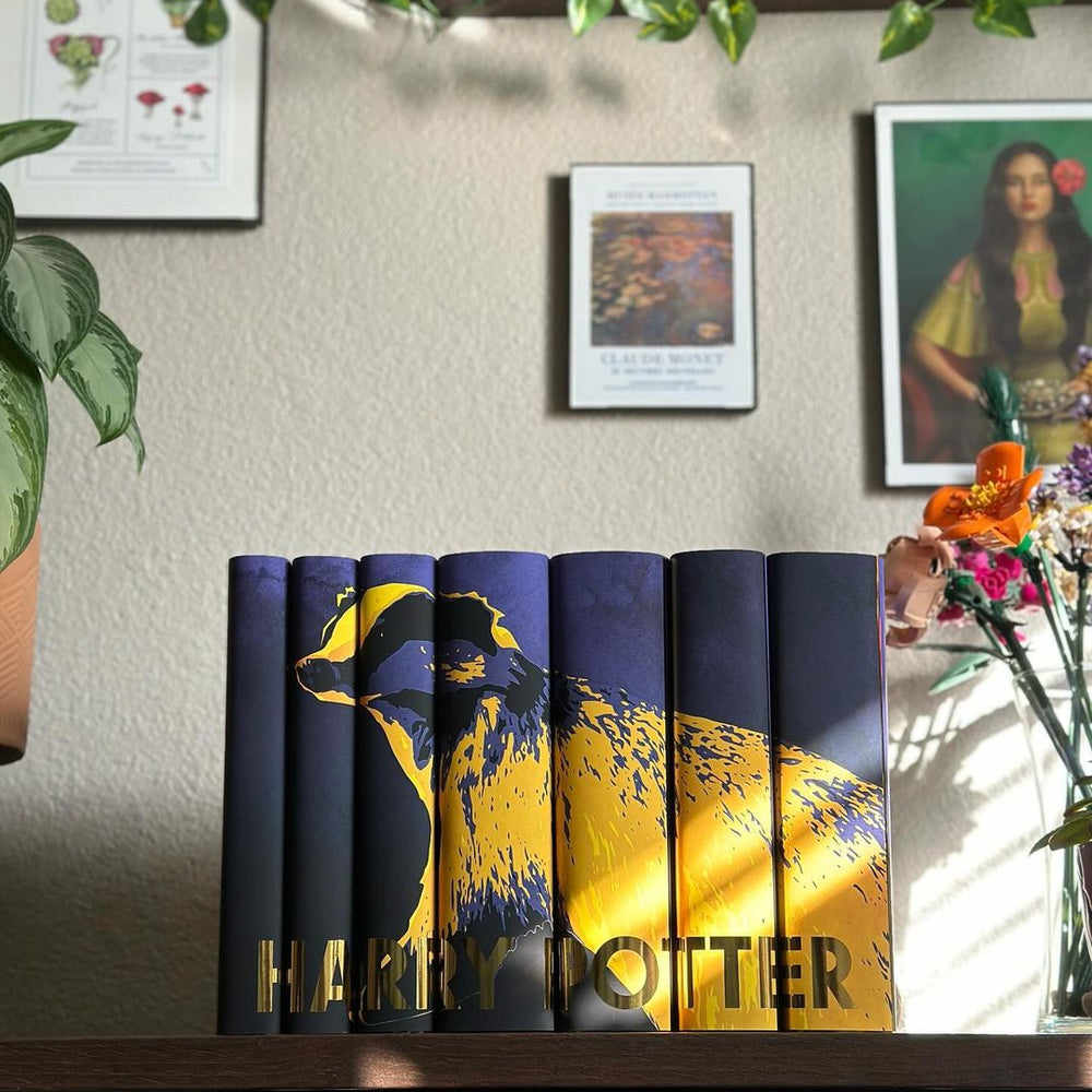 Limited Edition Harry Potter House Mascot Sets - Jackets Only