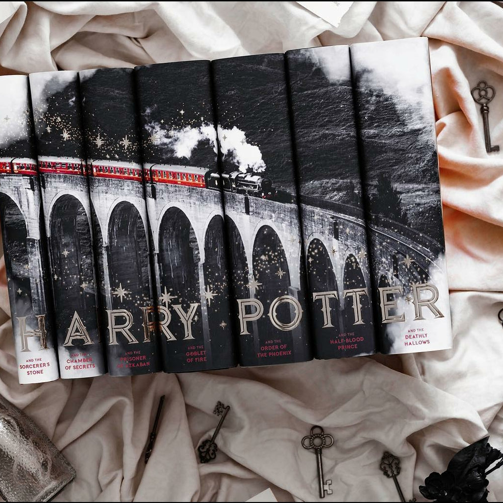 Harry Potter Hogwarts Express Set - Juniper Books