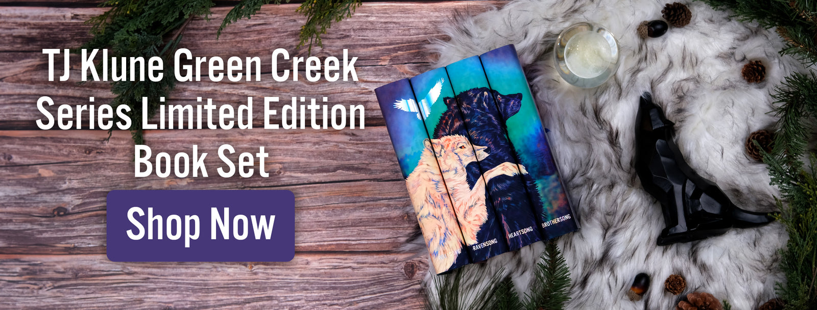 Nancy Drew and Hardy Boys Book Sets